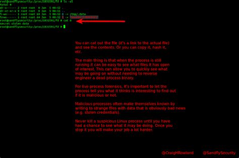 Investigating Linux Process File Descriptors For Incident Response And Forensics