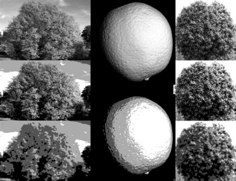 One Of Leonardos Illustrations Of The Effect Of Grey Level Download Scientific Diagram