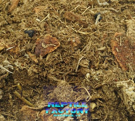 Shop All Reptile Factory Socal