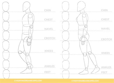 Figure Drawing For Anime Artists Draw Better Bodies And Proportions
