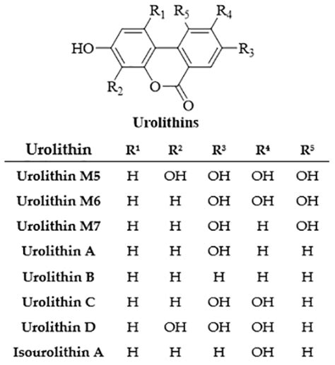 Phytochemicals Involved In Mitigating Silent Toxicity Induced By Heavy