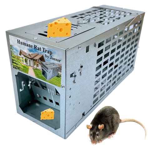 Joozer Humane Rat Trap That Work Live Mouse Trap Indoor Catch And