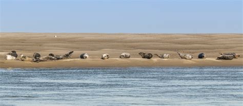 France Hiking Trails With These Manu Gr Circuits And Routes