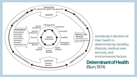 Putri Adara Yasmin On Linkedin Hiap Healthinallpolicies Publichealth