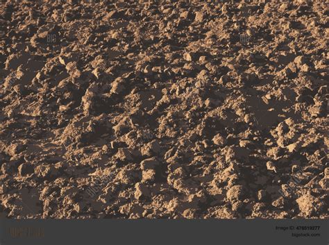 Realistic Vector Photo Free Trial Bigstock