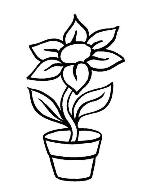 Dibujos De Plantas Para Colorear