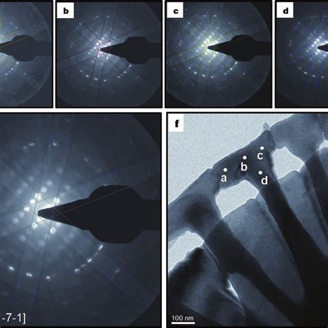 Nano Probe Diffraction Within The Distal Shield Element Of E Huxleyi