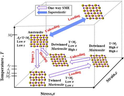 Phase Transformation Process Of Sma 2 Download Scientific Diagram