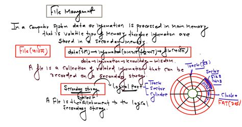File Managment OS File Management Notes Database Management System Studocu