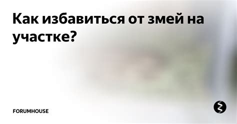 Как избавиться от змей на участке? | FORUMHOUSE | Дзен