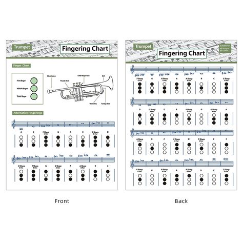 Buy Mumiao Trumpet Chord Fingering Chart Trumpet Fingering Trumpet