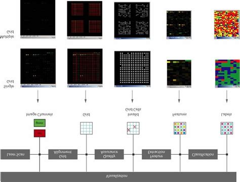 4 Example Of Visualization Combined With Visual Inspection Of Spotted