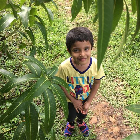 Vesta Technologies Learn How To Develop Websites From Php