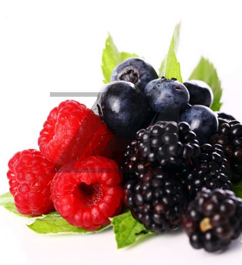 دانلود عکس انواع توت جنگلی تازه دانلود رایگان فایل لایه باز، Psd