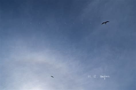 광주 인문예술교육 안내 김지운 감독님의 다큐멘터리 의 상영이 씨어터연바람에서 10일부터 15일까지 이어집니다 차가운 시선과 무관심으로 어디에도 정착 할 수 없는 우리