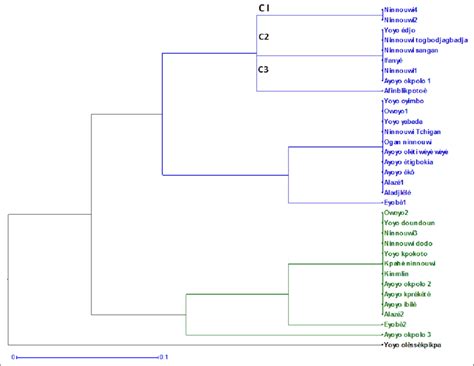 dendrogram shoving clusters based on denominations criteria used by
