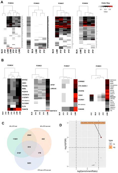 Validation Of Mutations Using External Datasets Analyzed In Cbioportal