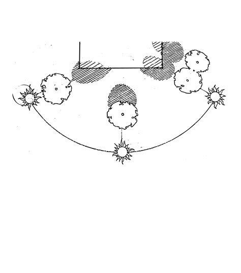 Trees Flashcards Memorang