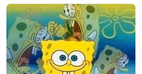 Spongebob Meme Dump Album On Imgur