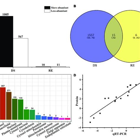Number A Venn Diagram B Subcellular Localization C And