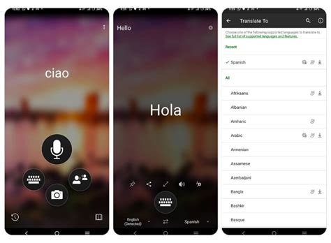 10 Best Offline Translator Apps for Android and iOS - TechPP