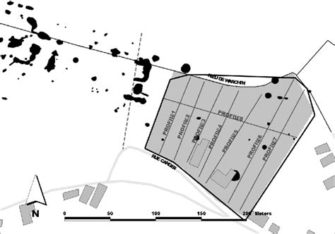 Location Of The 2d Ert Profiles Inside The Investigated Area Contoured