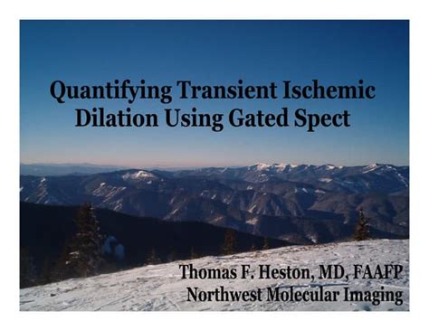 Redefining The Transient Ischemic Dilation Ratio Pdf