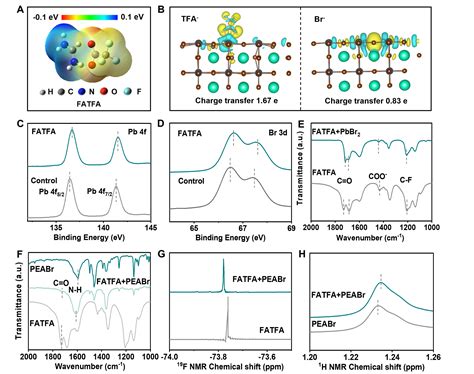 材料学院王洪强教授团队在空气气氛制备高性能钙钛矿发光二极管取得新进展 西北工业大学