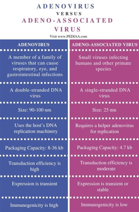 What Is The Difference Between Adenovirus And Adeno Associated Virus Pediaa Com