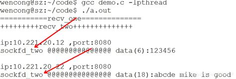 Socket 网络编程——端口复用技术（setsockopt（））（linux下多个进程监听同一个端口）linux Setsockopt