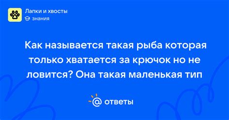 Как называется такая рыба которая только хватается за крючок но не ловится Она такая маленькая