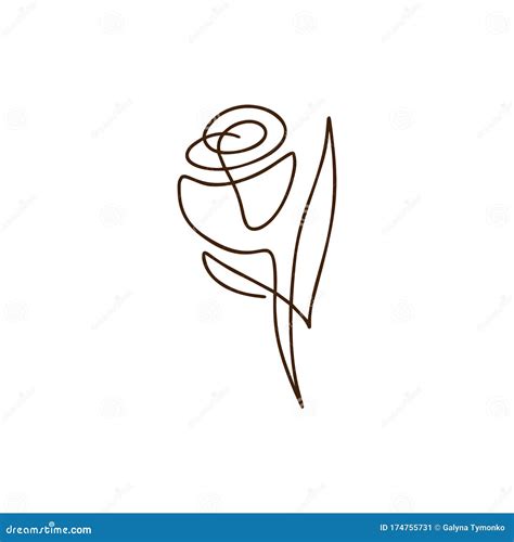 Tulip Flower Vector One Line Art Logo Minimalist Contour Drawing