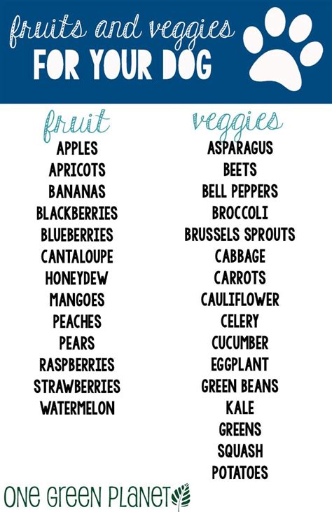 Printable List Of Fruits And Vegetables Dogs Can Eat