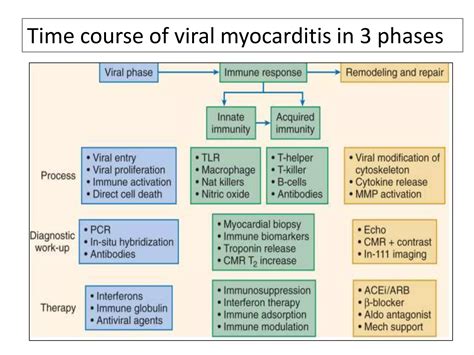 Myocarditis Pptx