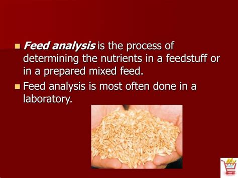 Feed Analysis Methods At Jill Farris Blog