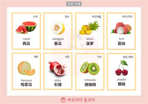 댓글 중국어 발음 16가지 과일 이름 발음 영상 포함