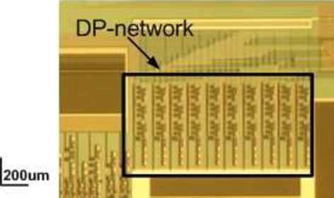 Photomicrograph Of Fabricated DP Network Circuit Download Scientific Diagram