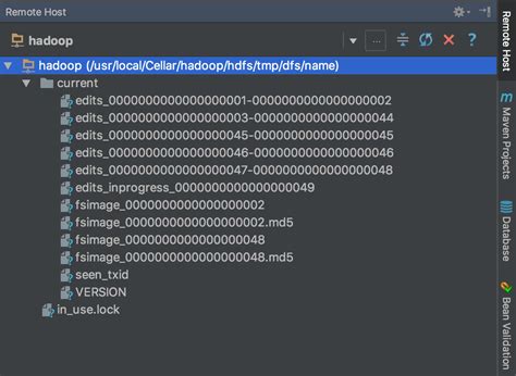 Hadoop Integrate Local HDFS Filesystem Browser With IntelliJ IDEA Stack Overflow