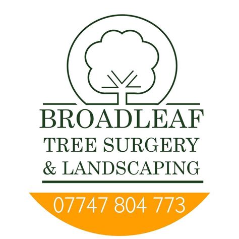 Broadleaf Tree Broadleaf Tree Surgery And Landscaping