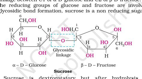Sucrose Hydrolysis Mechanism At Georgia Kirsova Blog