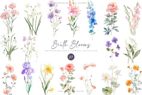 Watercolor Birth Flowers Collection Graphic By Patishop Art · Creative