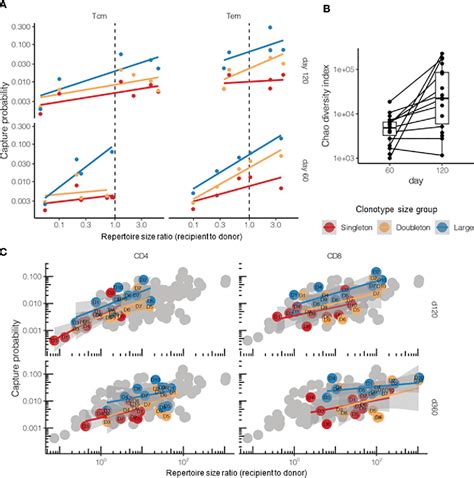 Figure 6 From Detecting T Cell Clonal Expansions And Quantifying Clone Survival Using Deep