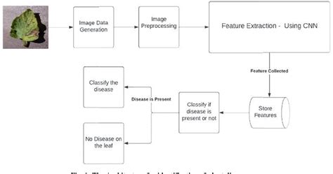 Figure 1 From Identification Of Plant Disease Using Cnn Semantic Scholar