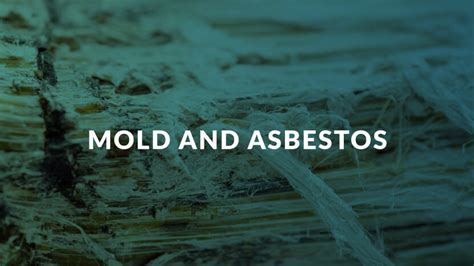 Mold And Asbestos A Comprehensive Guide To These Silent Dangers