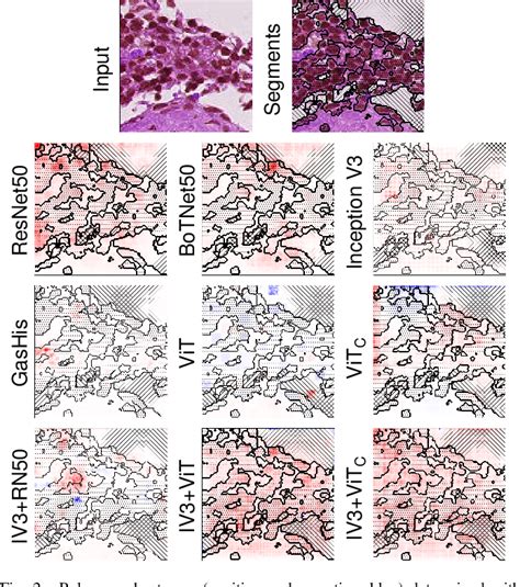 Figure 2 From From Cnns To Vision Transformers A Comprehensive