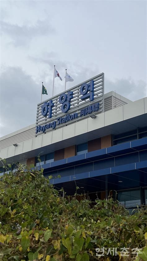 전쟁이 끝난 자리 끝맺지 못한 과거