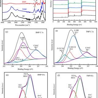 SEM Images Of A B BMP And C D TMP Download Scientific Diagram