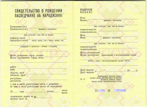 Свидетельство о рождении купить по доступной цене 100 анонимность доставка по России и СНГ