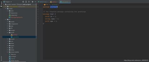 使用protobuf进行前端序列化与反序列化 Csdn博客