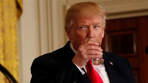 Un Le N En Casa Las Incre Bles Fotos De La Actriz Melanie Griffith Y Su Madre Tippi Hedren